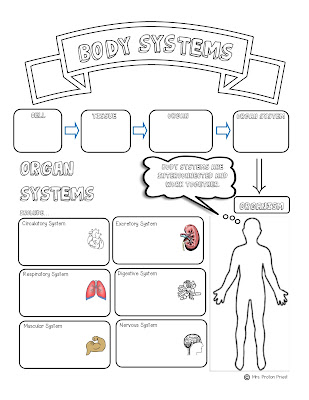 Body Systems Doodle Sketch Notes & Power Point Slides | Polka Dots and ...