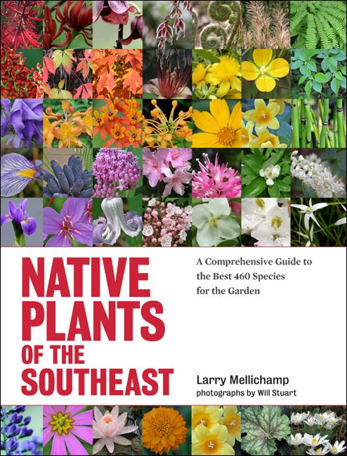 Using Georgia Native Plants: Native Plants of the Southeast (the book)