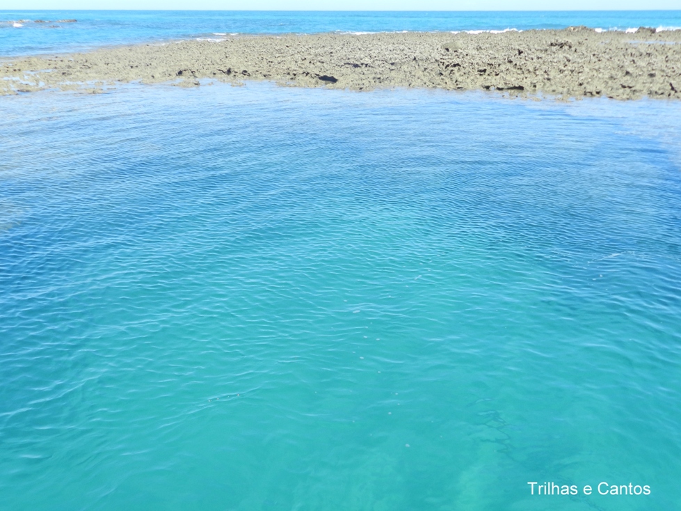 Japaratinga: como é o mergulho nas piscinas naturais | Trilhas e Cantos