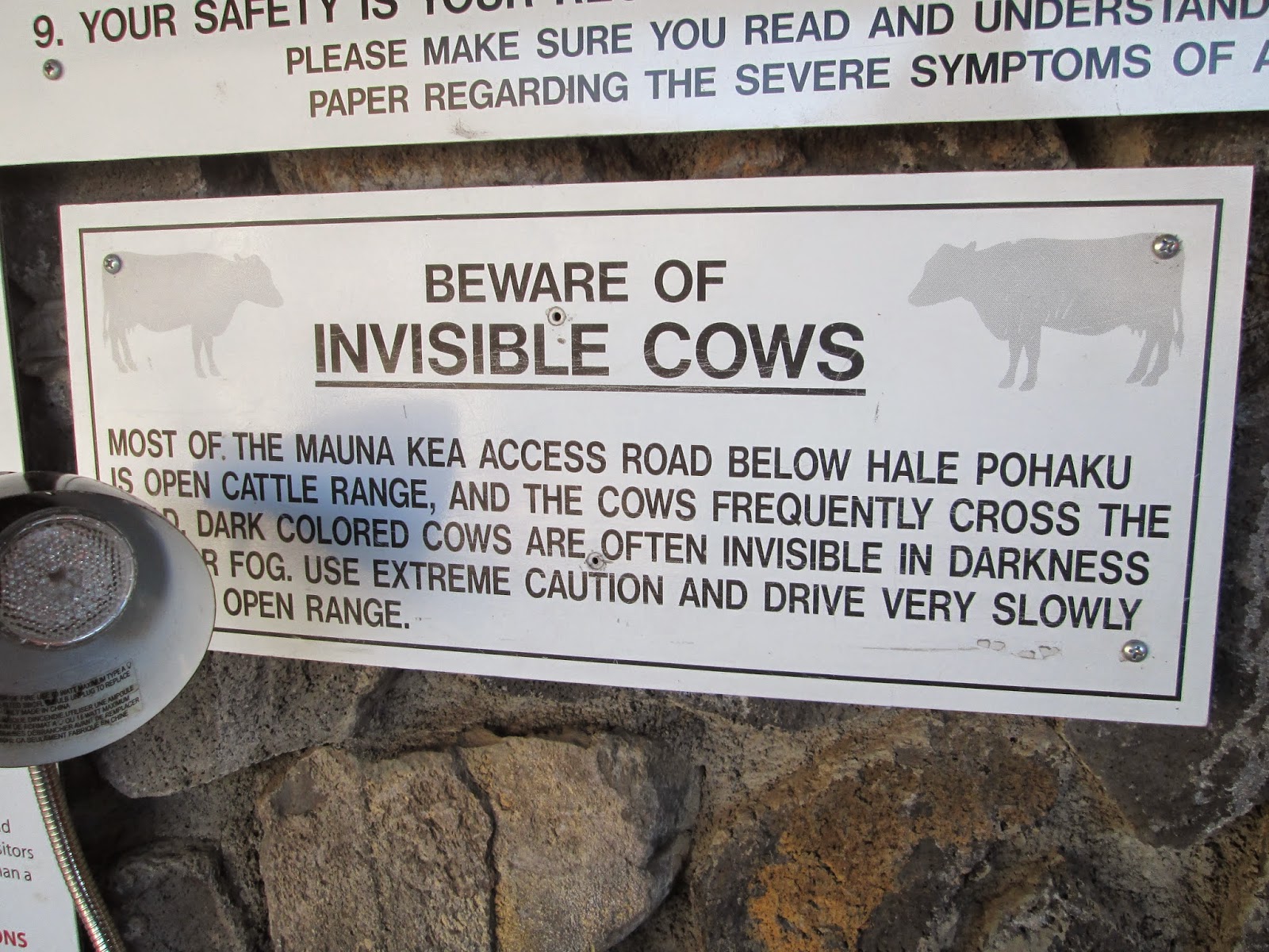 Family Travel Blog : Hawaii Travel Photo: Invisible cows on the Big ...