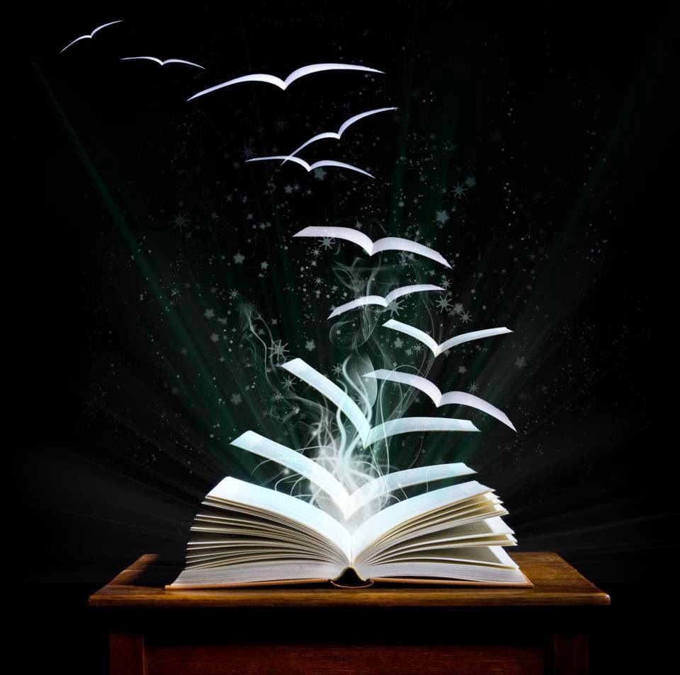 Aceituneros Altivos: LIBROS QUE VUELAN