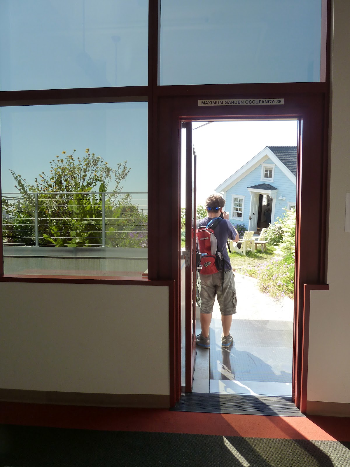 Observations: Fallen Star at UCSD