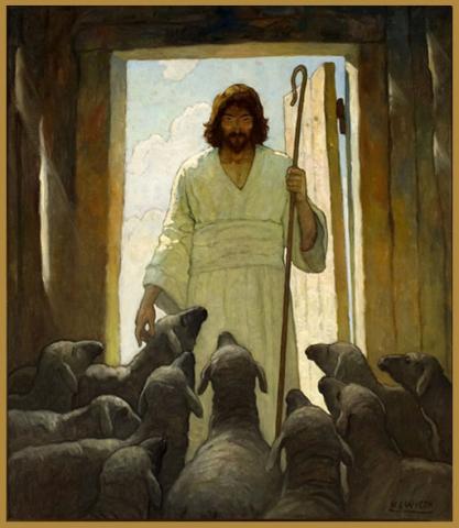 From my side of the Altar: 4th Sunday of Easter: The good and noble ...