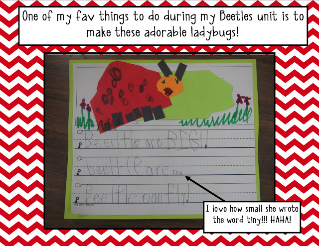 Teaching, Learning, & Loving: Beetles Unit