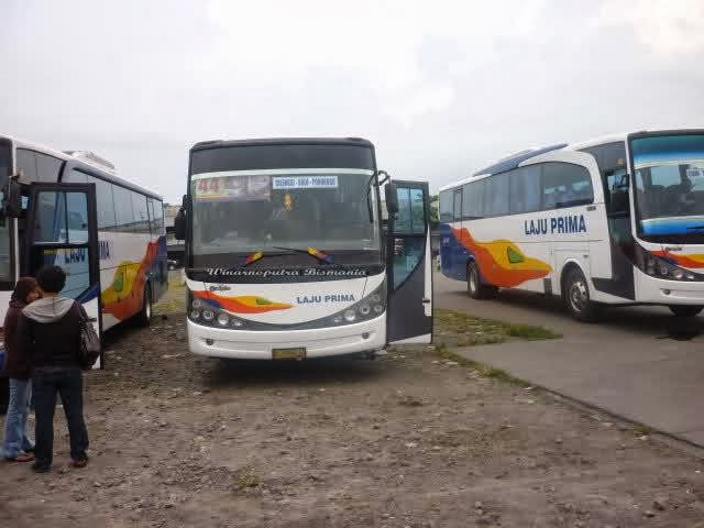 armada bus laju prima ~ Armada Bus