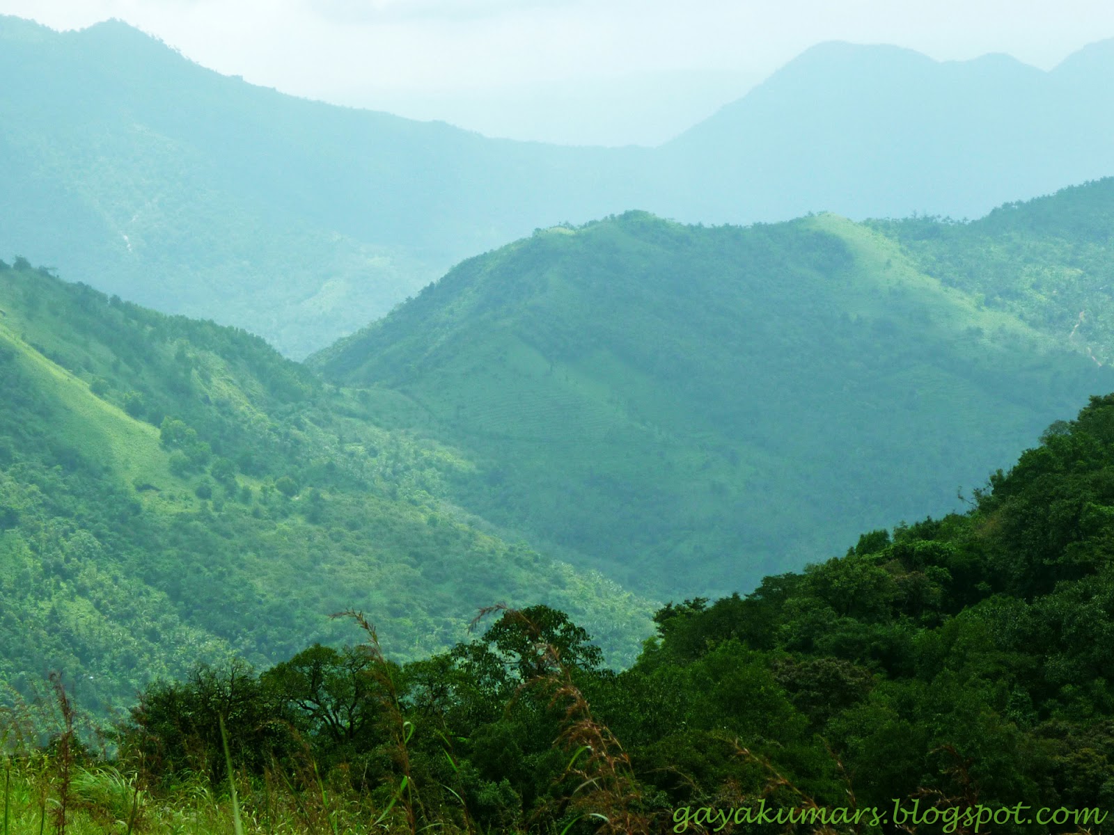 A Trip To PaithalMala: PaithalMala / Vaithalmala