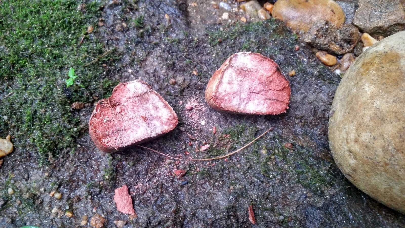 Ben's Journal: Quickie Stone Tools - Useful, Satisfying and Easier Than ...