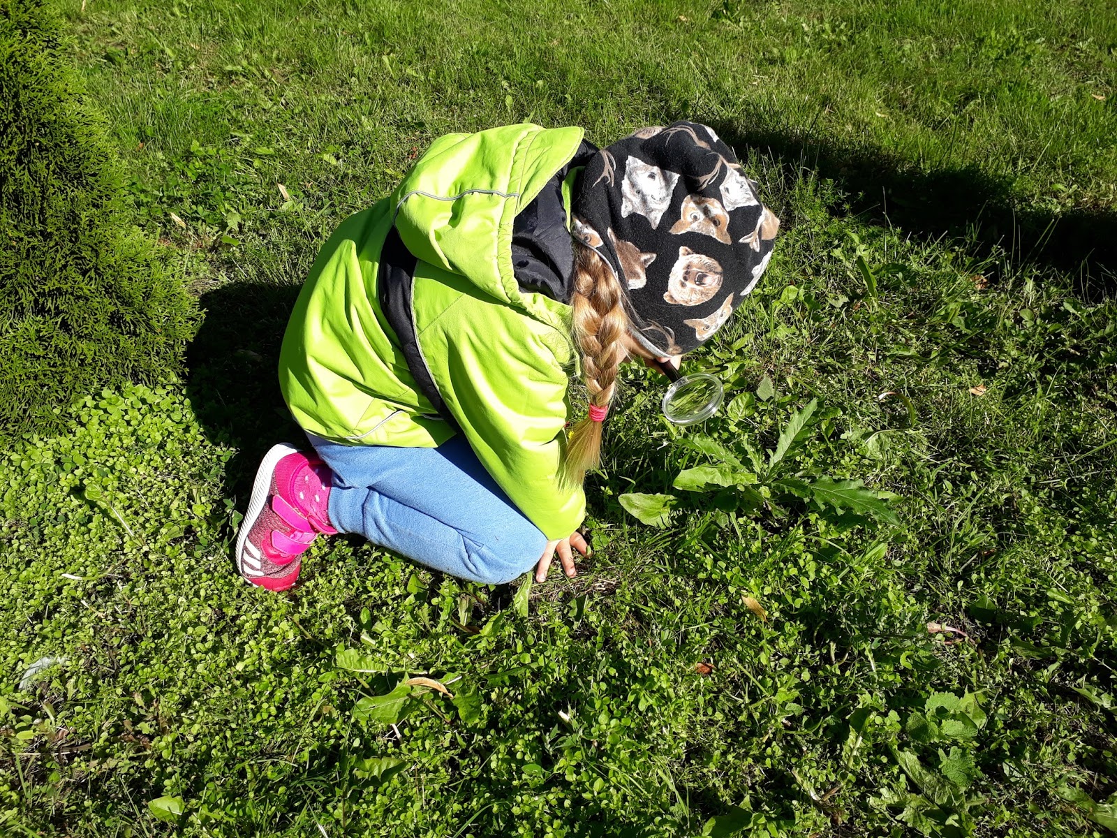 Roheline Kool Eestis Tallinna Tuule Lasteaed: Tuulekella rühma õuetegemised