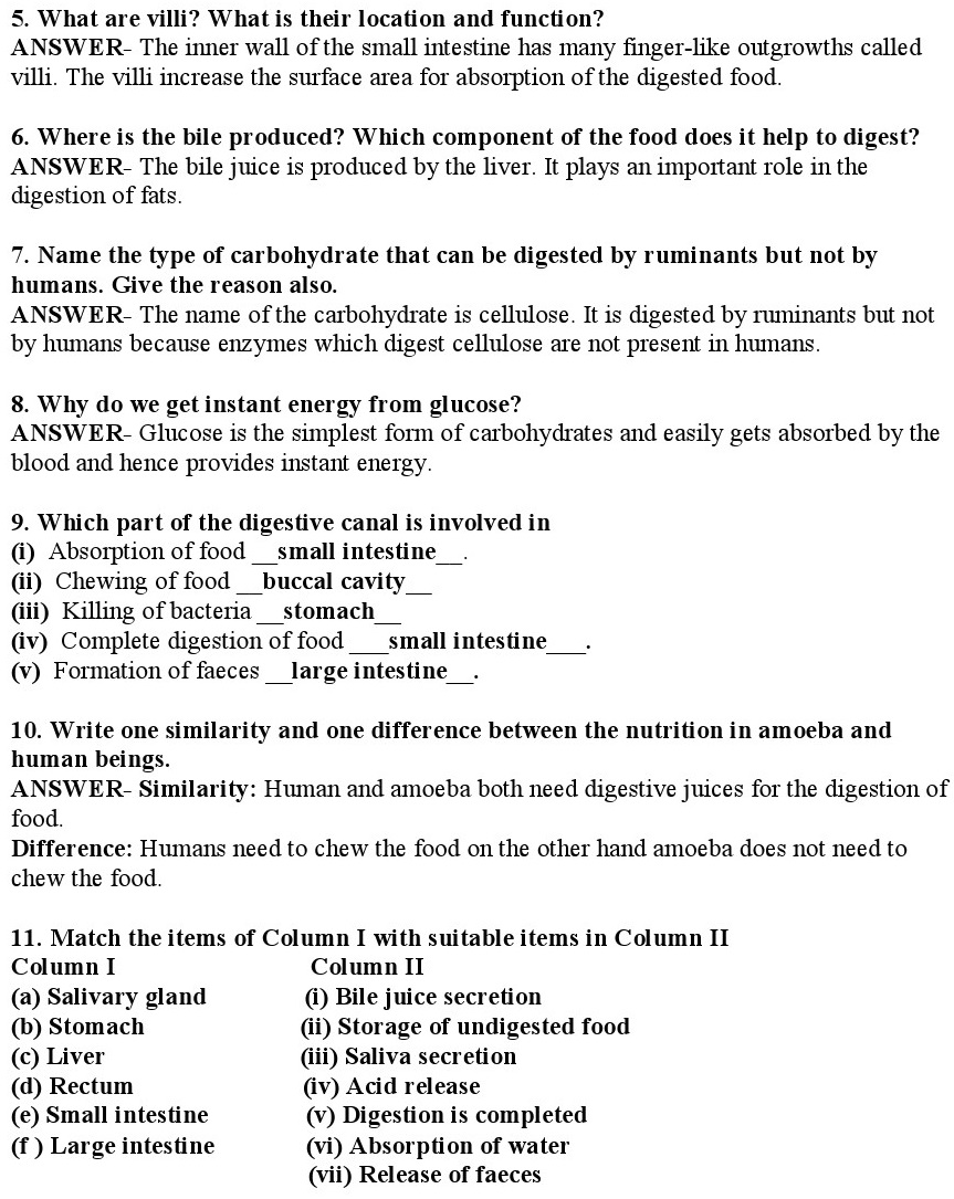 Nutrition In Animals Class 7 nutrition-in-animals-class-7