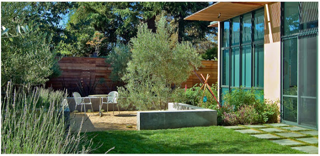 The Grackle: Bernard Trainor California Landscapes