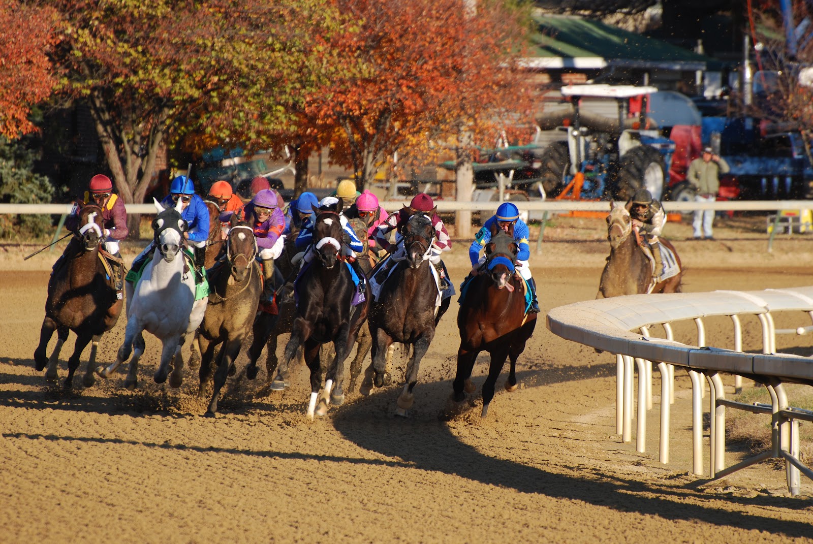 Taking a Look At Emerging Blue Hen Mare Mining My Own