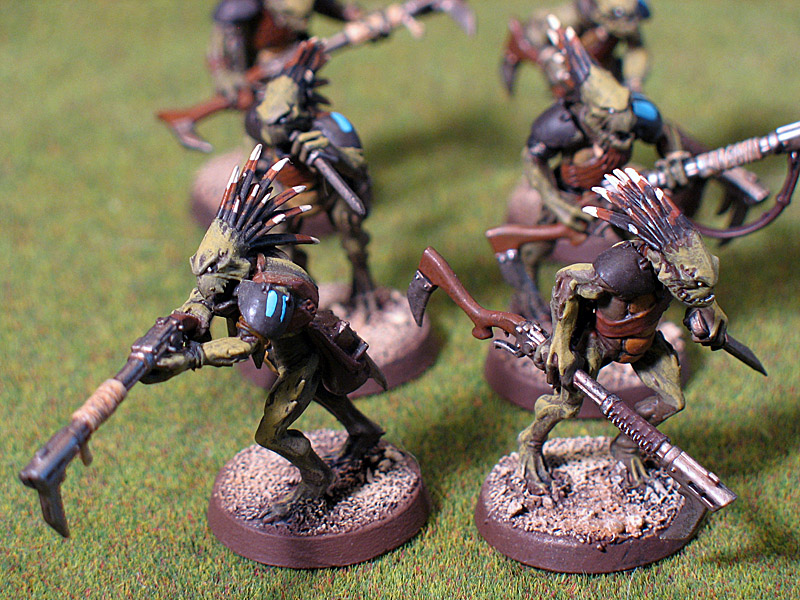 Jerry's Big Picture: Project Tau: Kroot