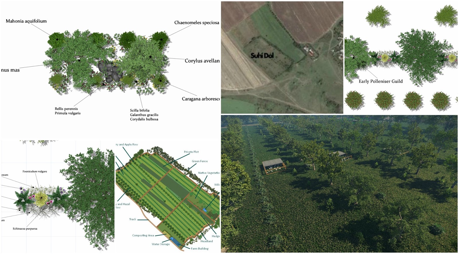 Balkan Ecology Project : 5 ha (12.3 acre) Agroforestry project coming ...