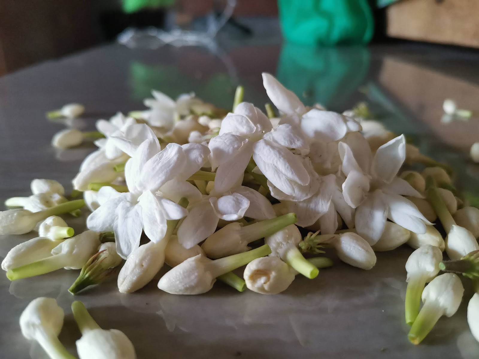 SANDZTRIP: I’m Still In Love..With Sampaguita