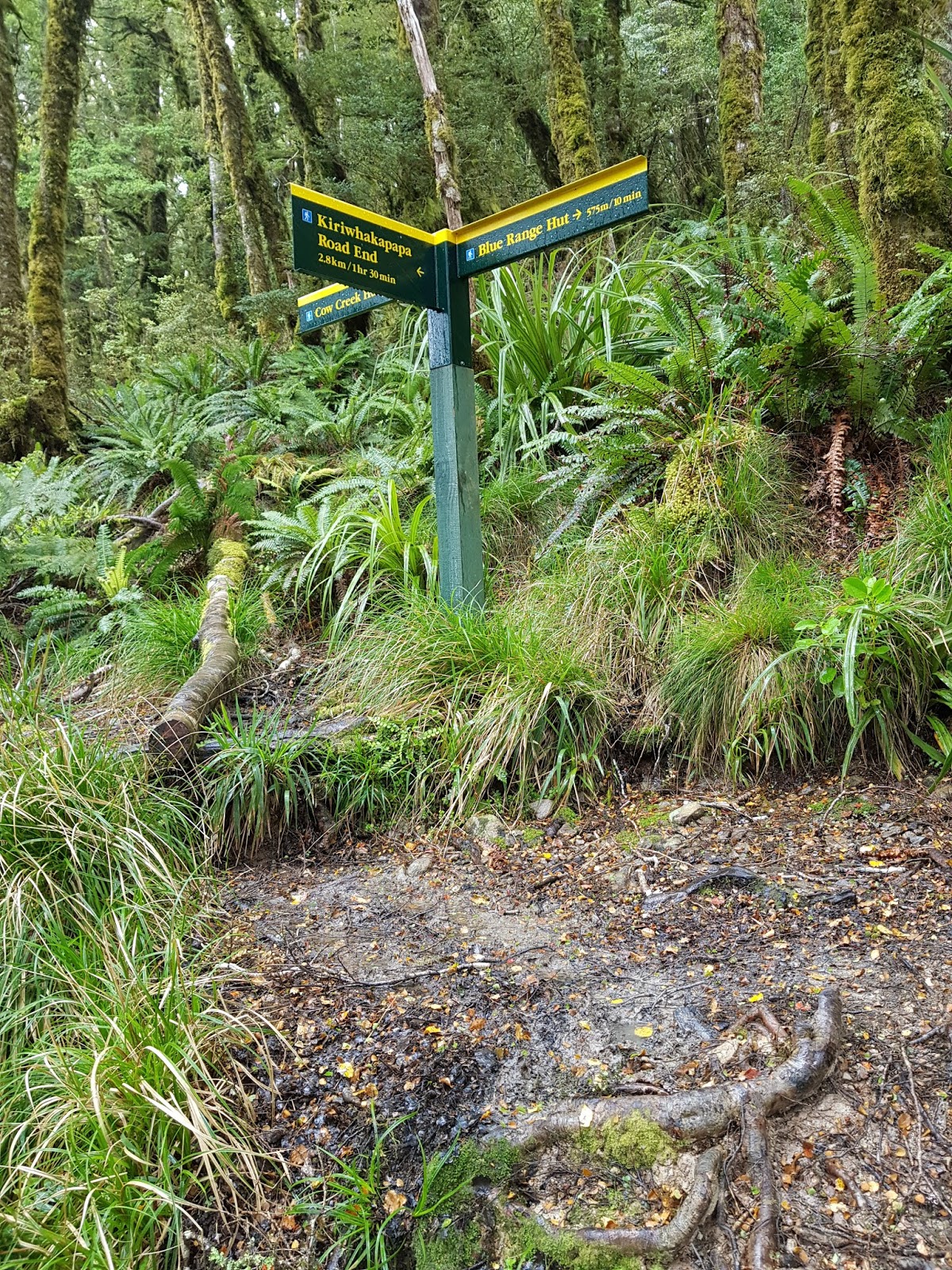 Tramping the Tararuas: Blue Range Hut