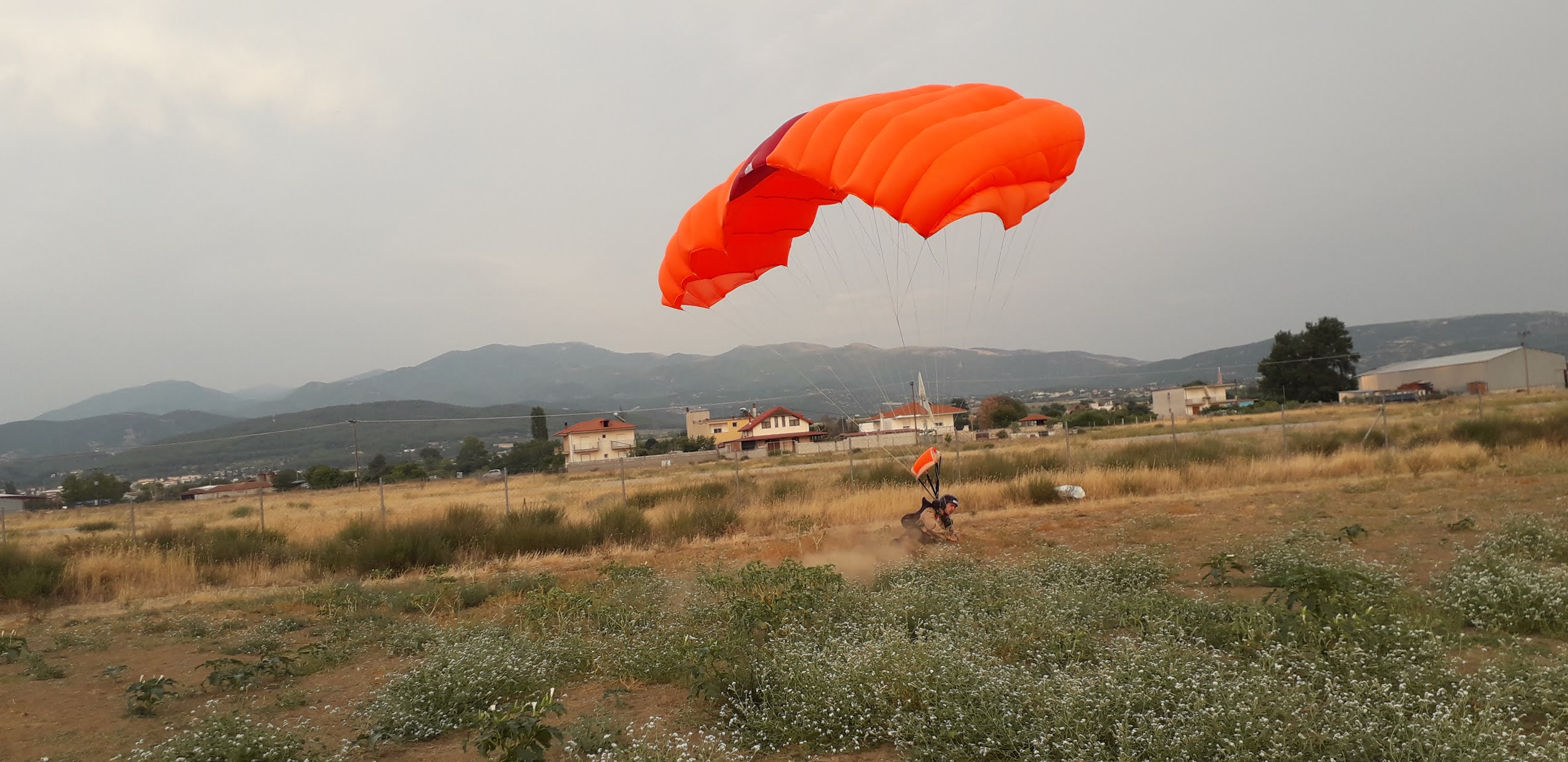 ΠΑΝΕΛΛΗΝΙΑ ΟΜΟΣΠΟΝΔΙΑ ΕΙΔΙΚΩΝ ΔΥΝΑΜΕΩΝ: ΔΕΛΤΙΟ ΤΥΠΟΥ ΑΛΜΑ ΜΑΚΕΔΟΝΙΑ ...