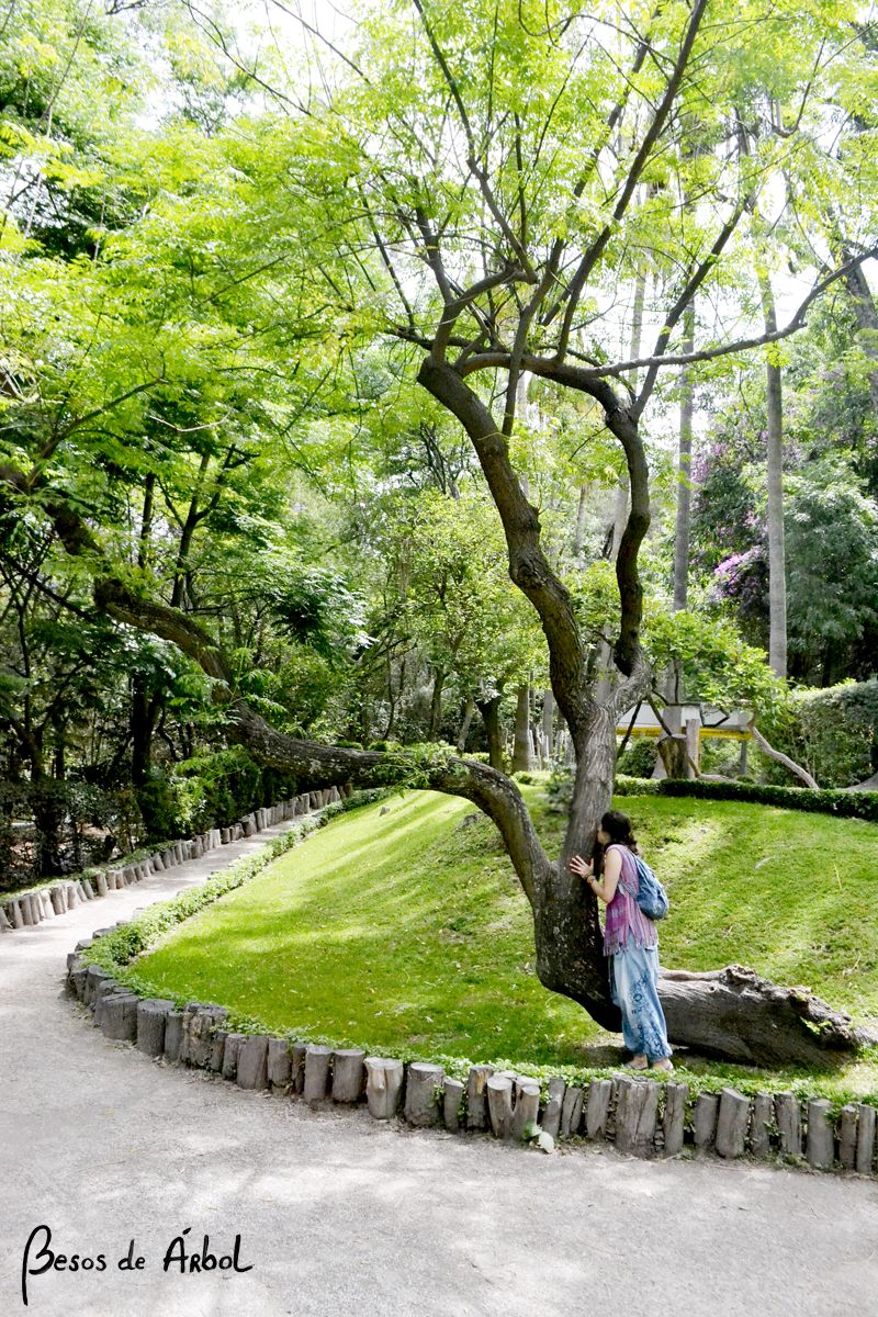 Besos de Árbol: Caminando por el parque Colomos