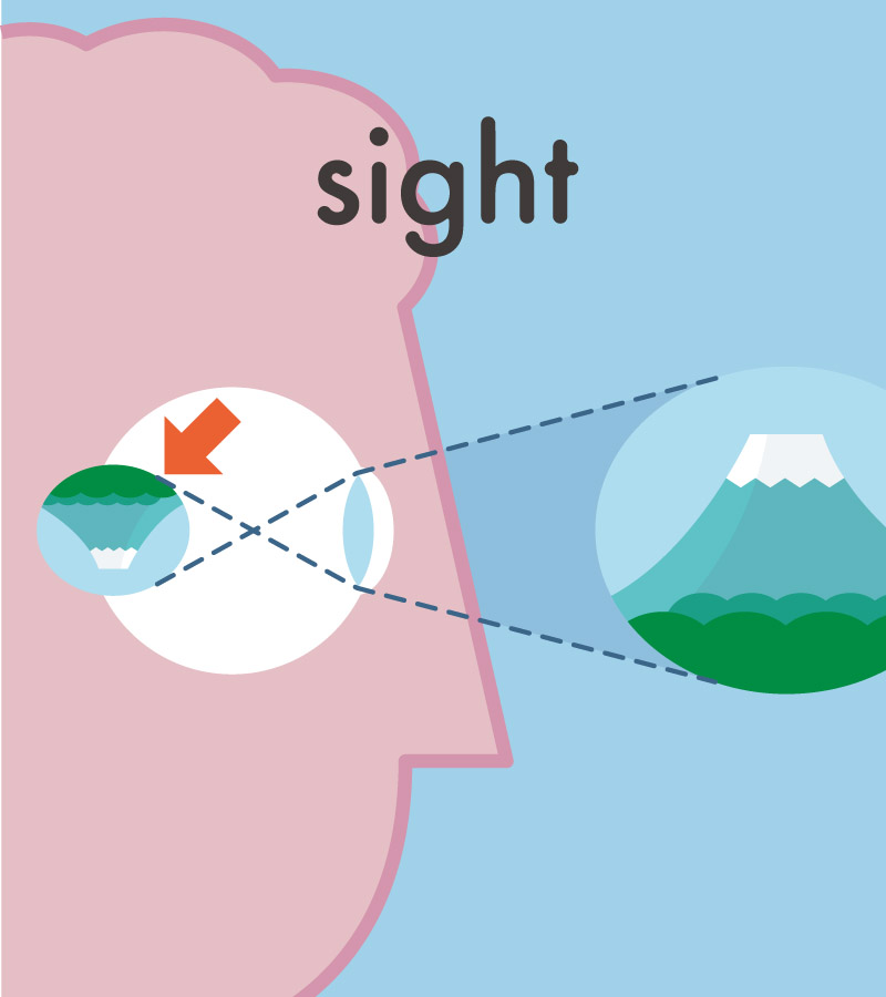 view と sight の違いとは？
