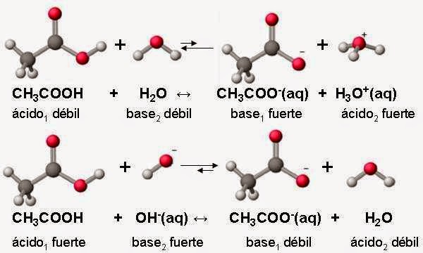 Quimica Orgánica BIO404: ÁCIDOS Y BASES