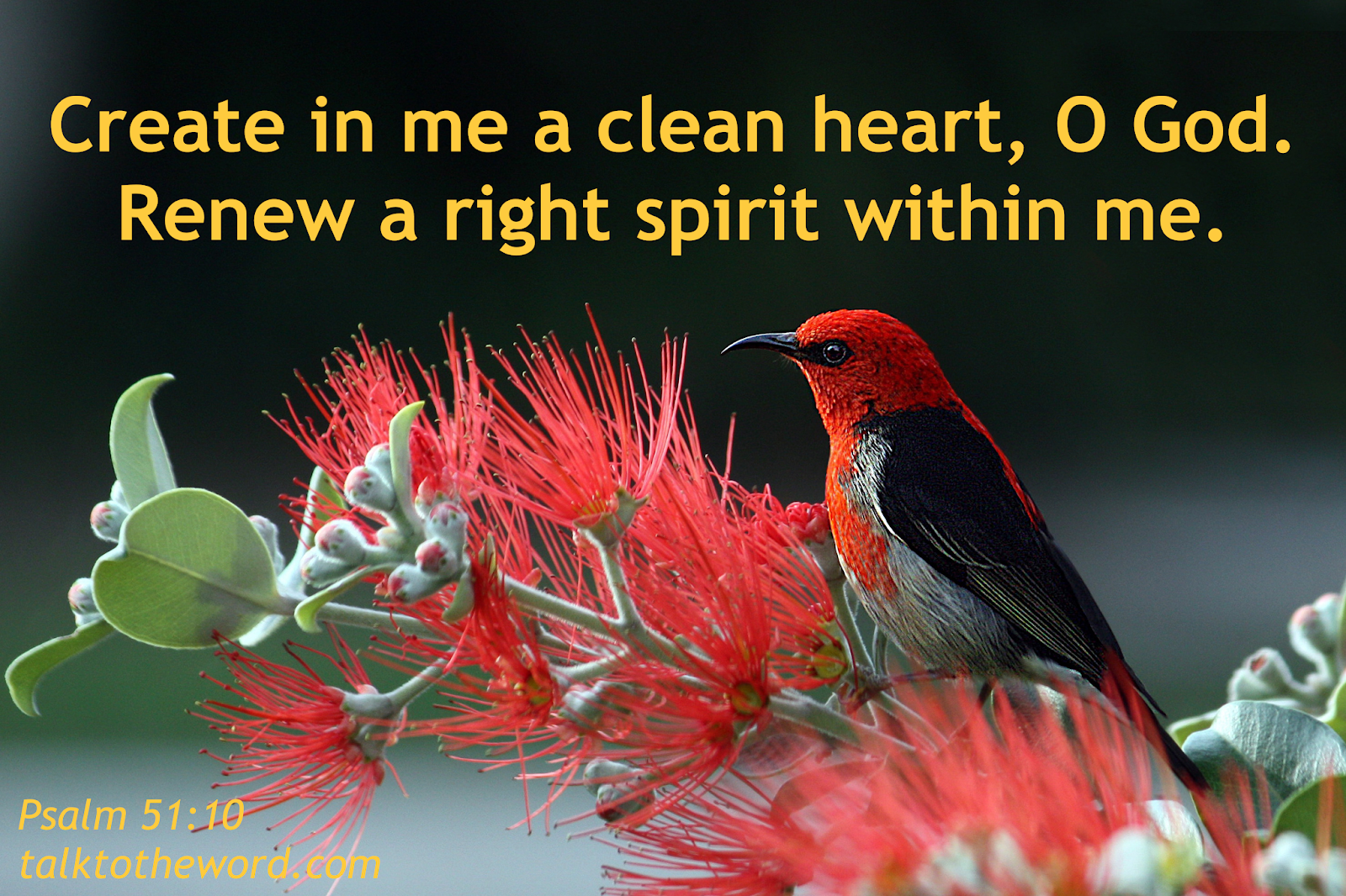 Psalm 51 10 12