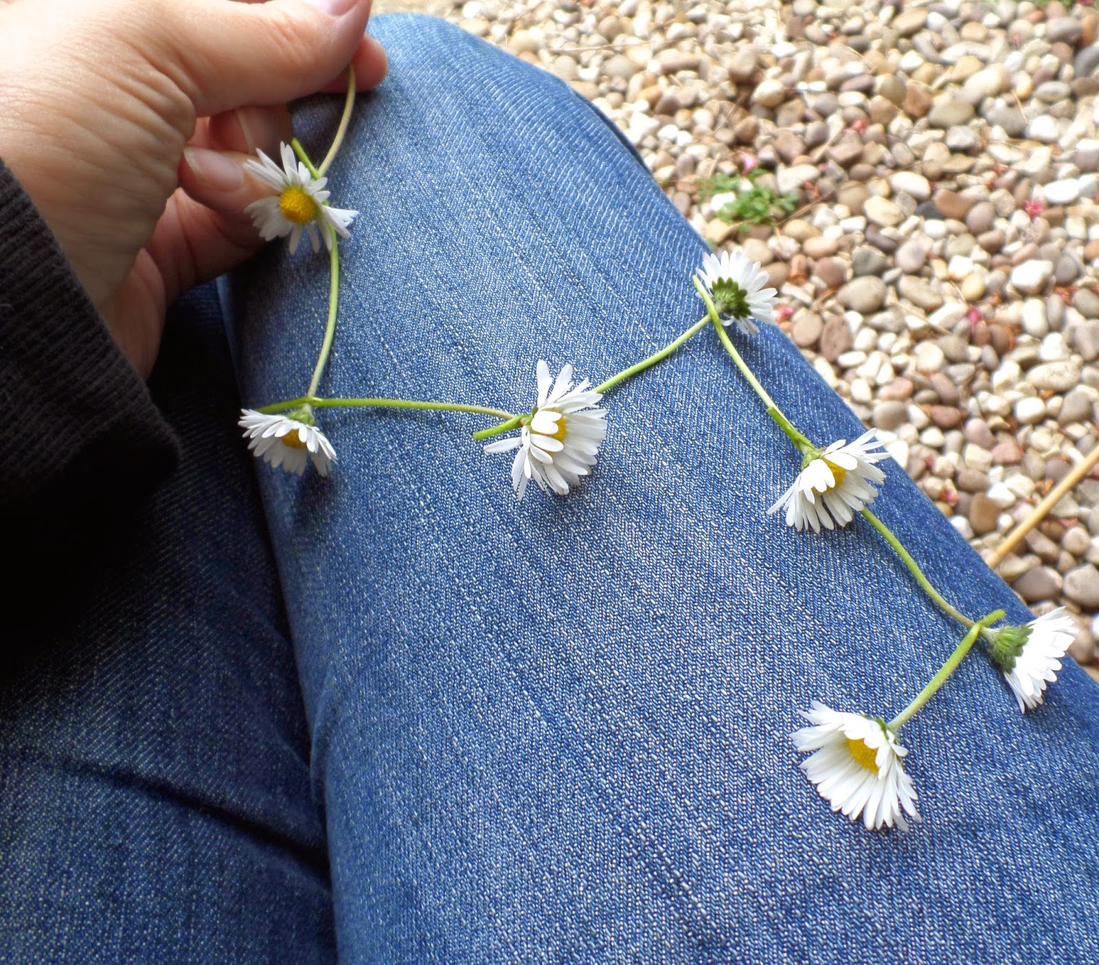 Addicted to Making: Daisy, Daisy, what will we do with you....