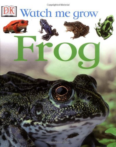 Adventures In Storytime (and Beyond): Frogs - Virtual Storytime