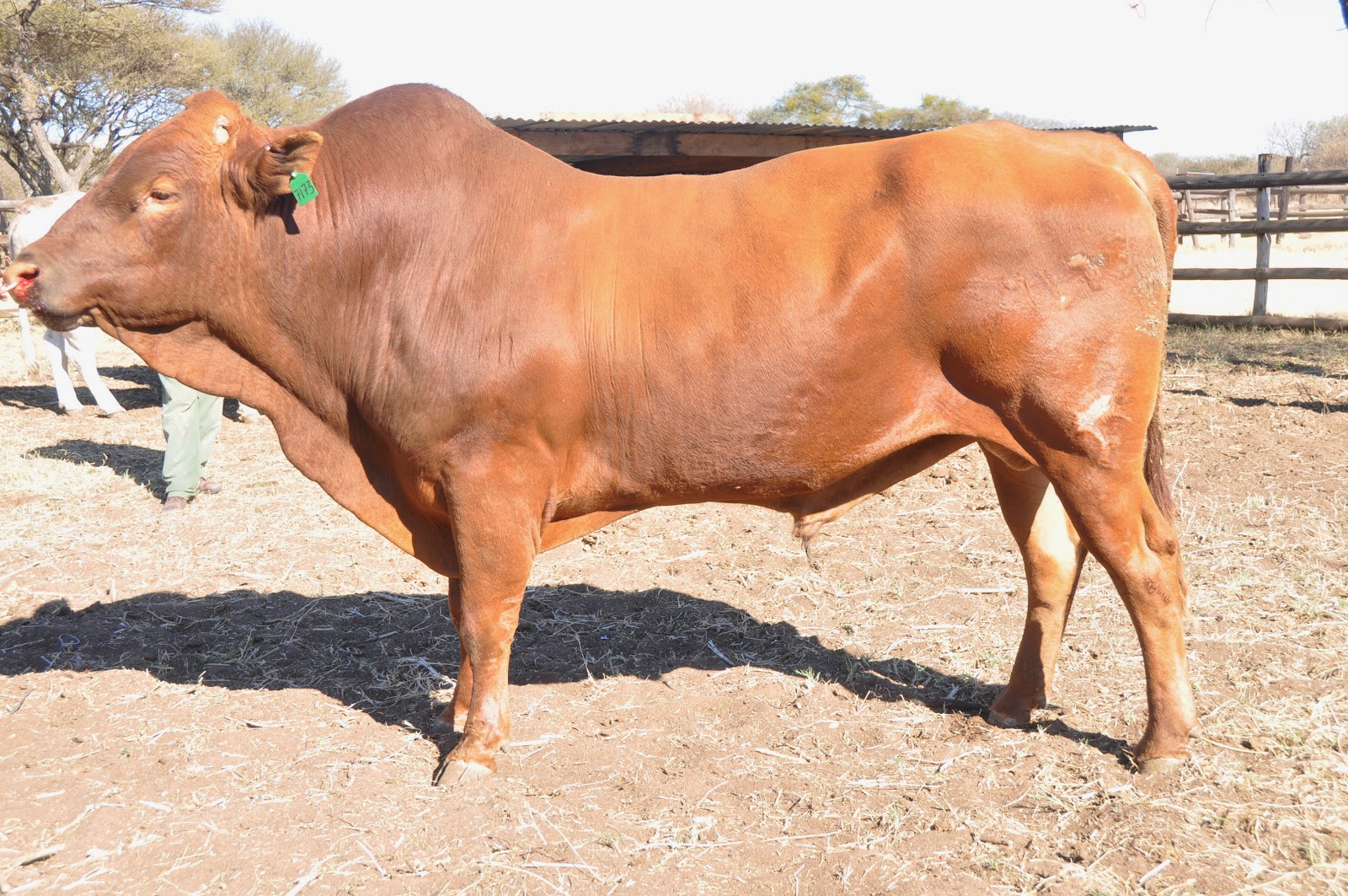 Agricultural Hub: Mandate of the Agricultural Hub