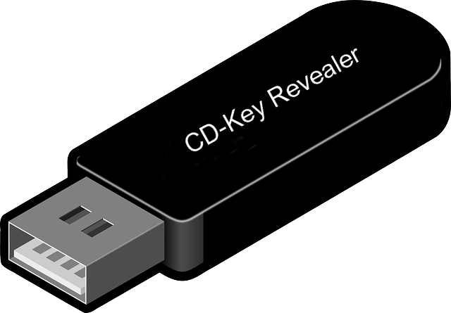 Blog de palma2mex : Windows CD-Key Revealer 1.3.0.23 portable