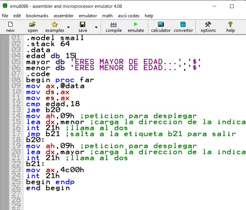 7 Programas de Lenguaje Ensamblador