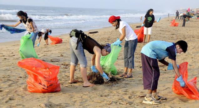 Dolphin Lifes: How to make a change in the ocean environment