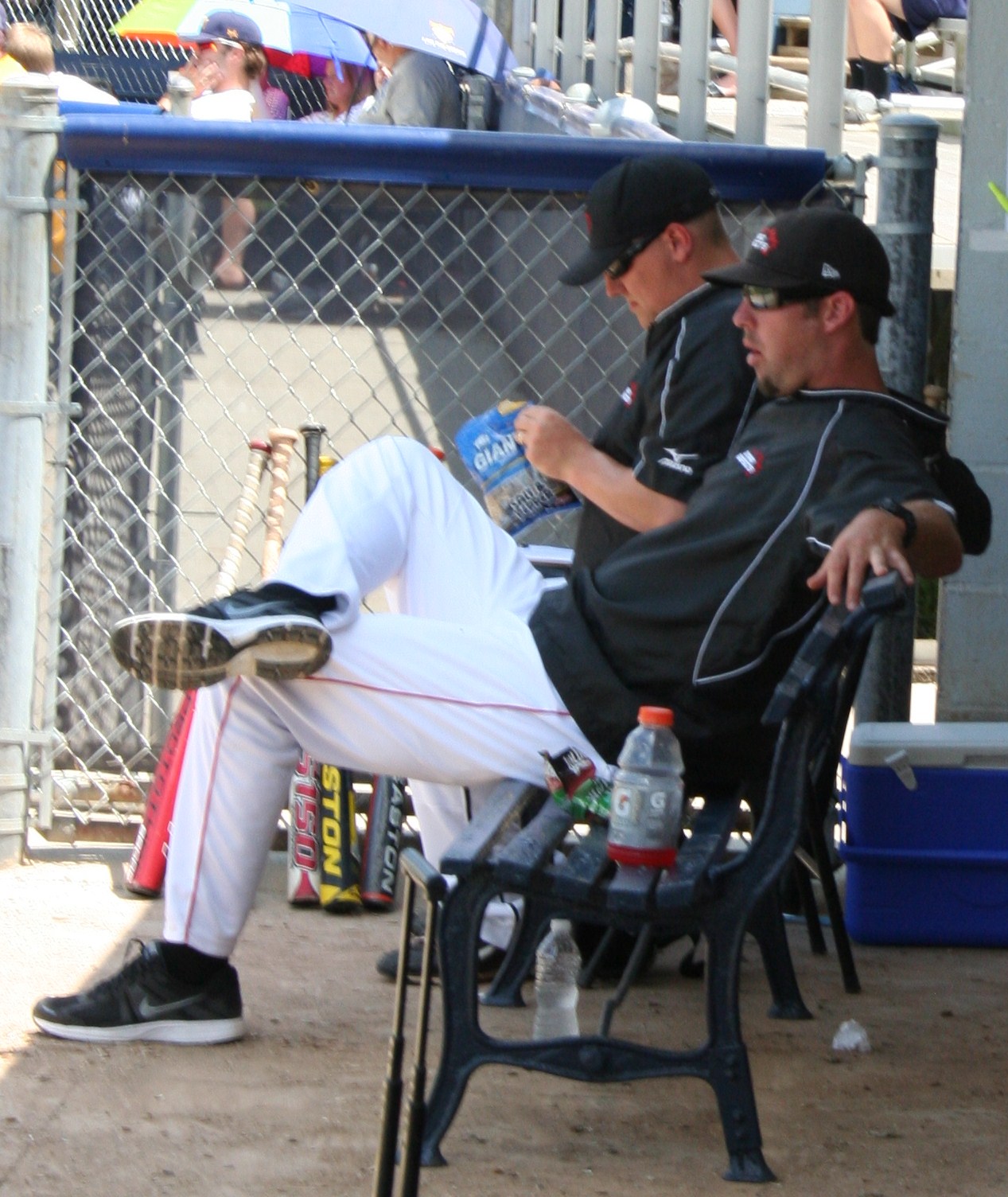 Naptown Sportz by Vince Alexander: The Boys of Summer Baseball in ...