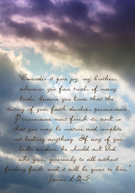Scripture And A Snapshot James 1 2 5 A Modern Day Fairy Tale