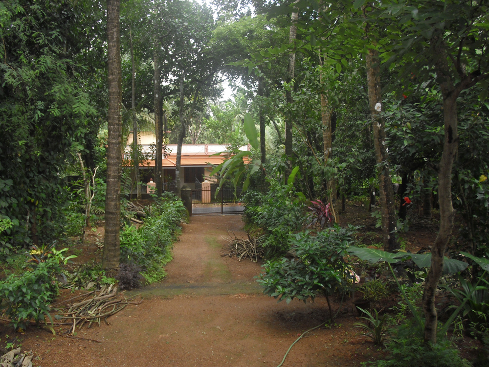 എയ്യാല്‍: Ona Kaalam