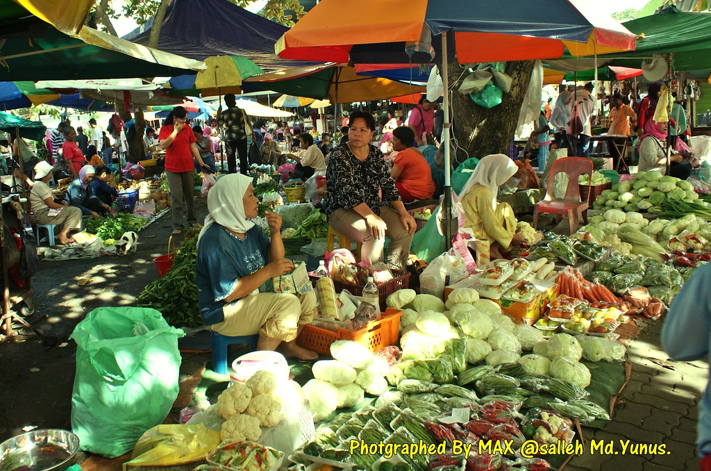 A little love from Azulla