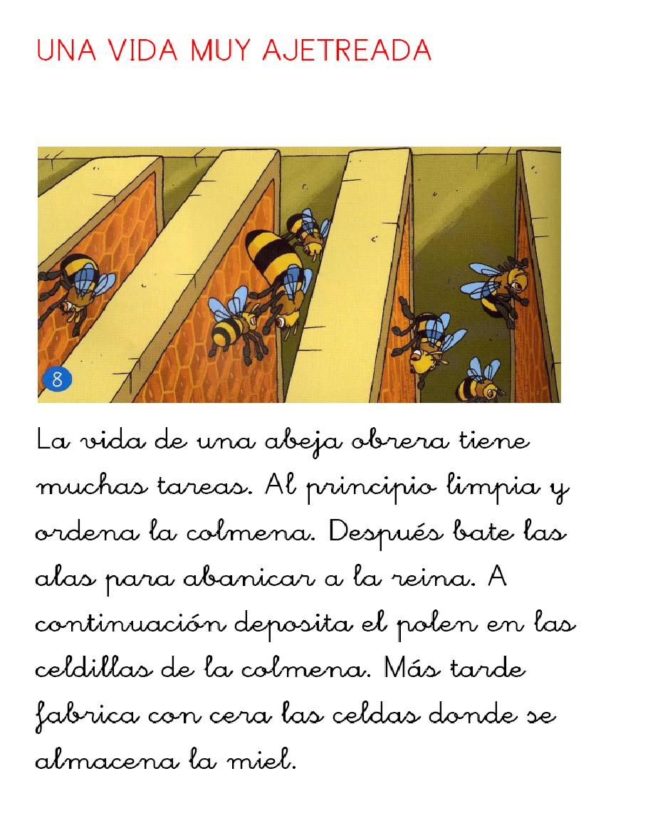 RECURSOS y ACTIVIDADES para Educación Infantil: Libro de las ABEJAS
