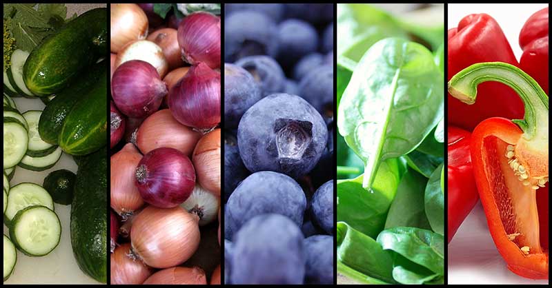 7 Foods That Help Boost Kidney Health | Dr Farrah MD