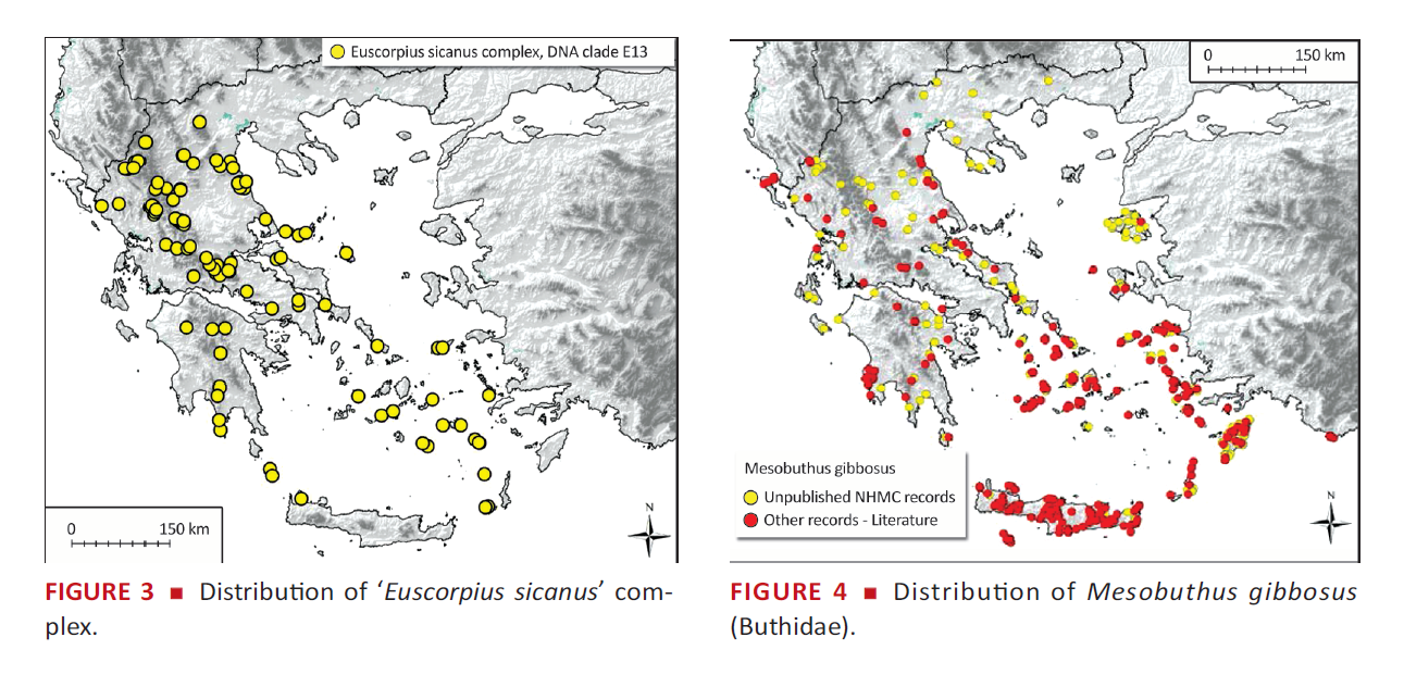The Scorpion Files Newsblog: A review of the scorpion fauna of Greece