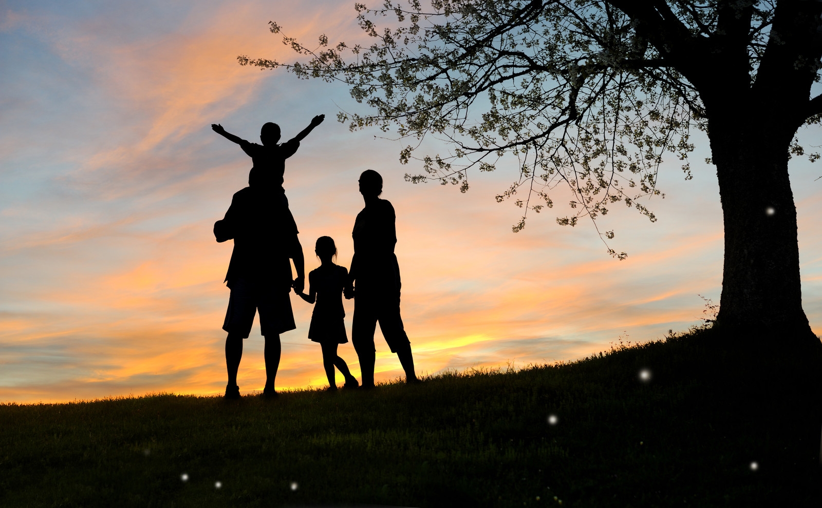 How To Parent A Difficult Child how-to-parent-a-difficult-child
