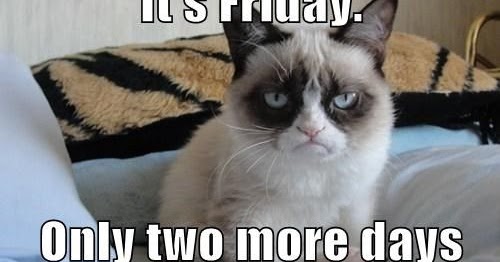 Tgif Grumpy Cat