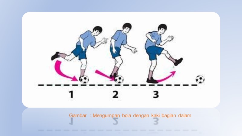 Teknik Mengumpan Bola Voli : 4 Teknik Dasar Bola Voli Dan Cara ...
