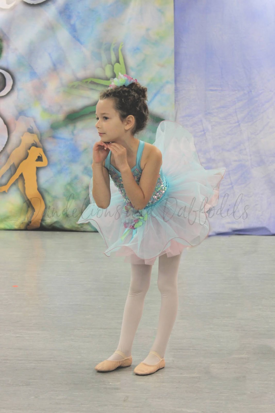 Dandelions and Daffodils: tiny dancers