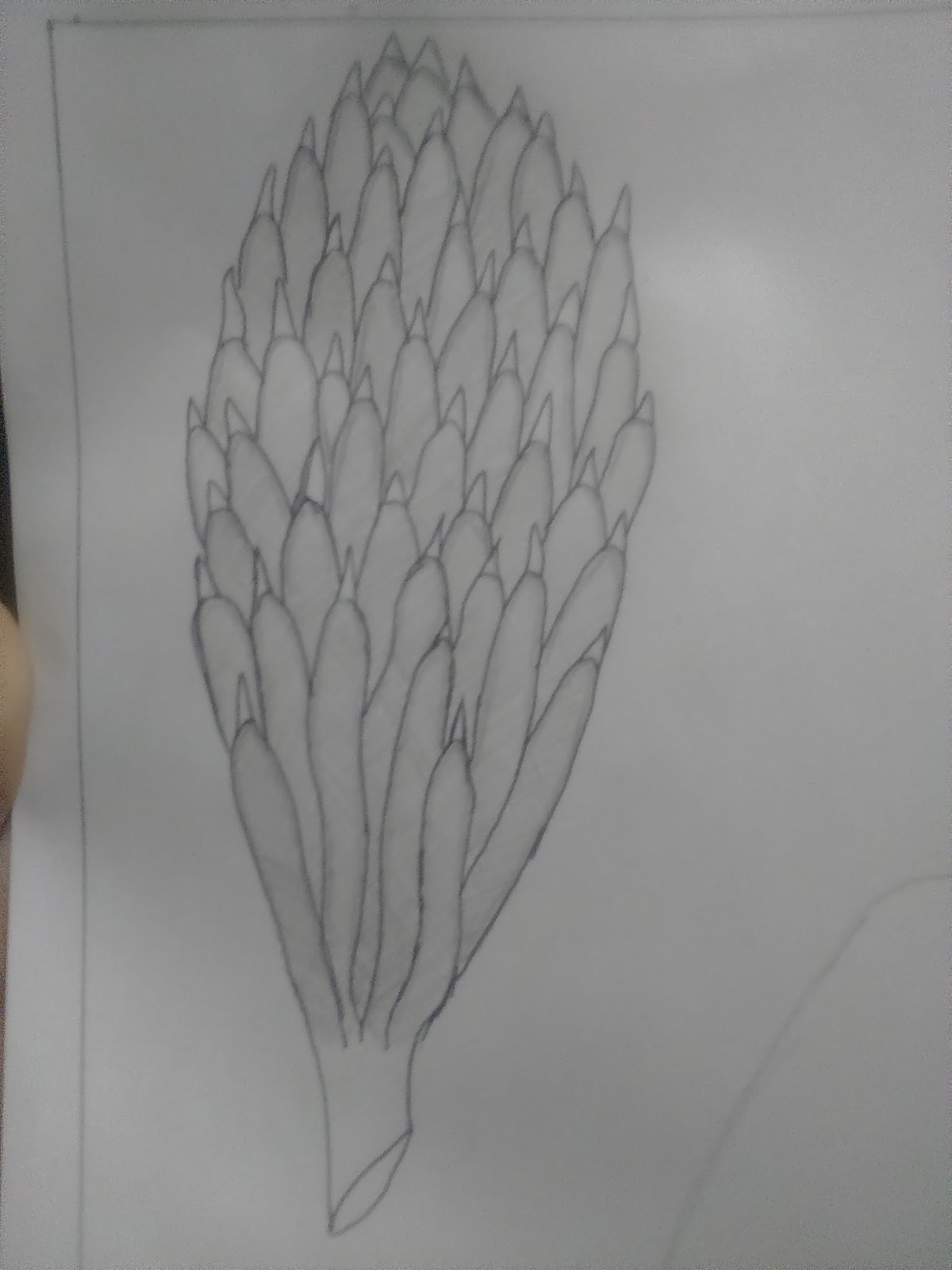 Asep Tianto: Bunga jantan kelapa sawit