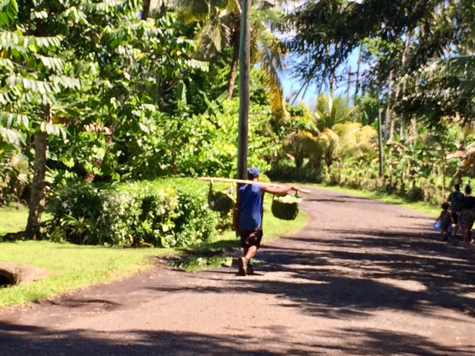 Serving in Samoa: Sauniatu