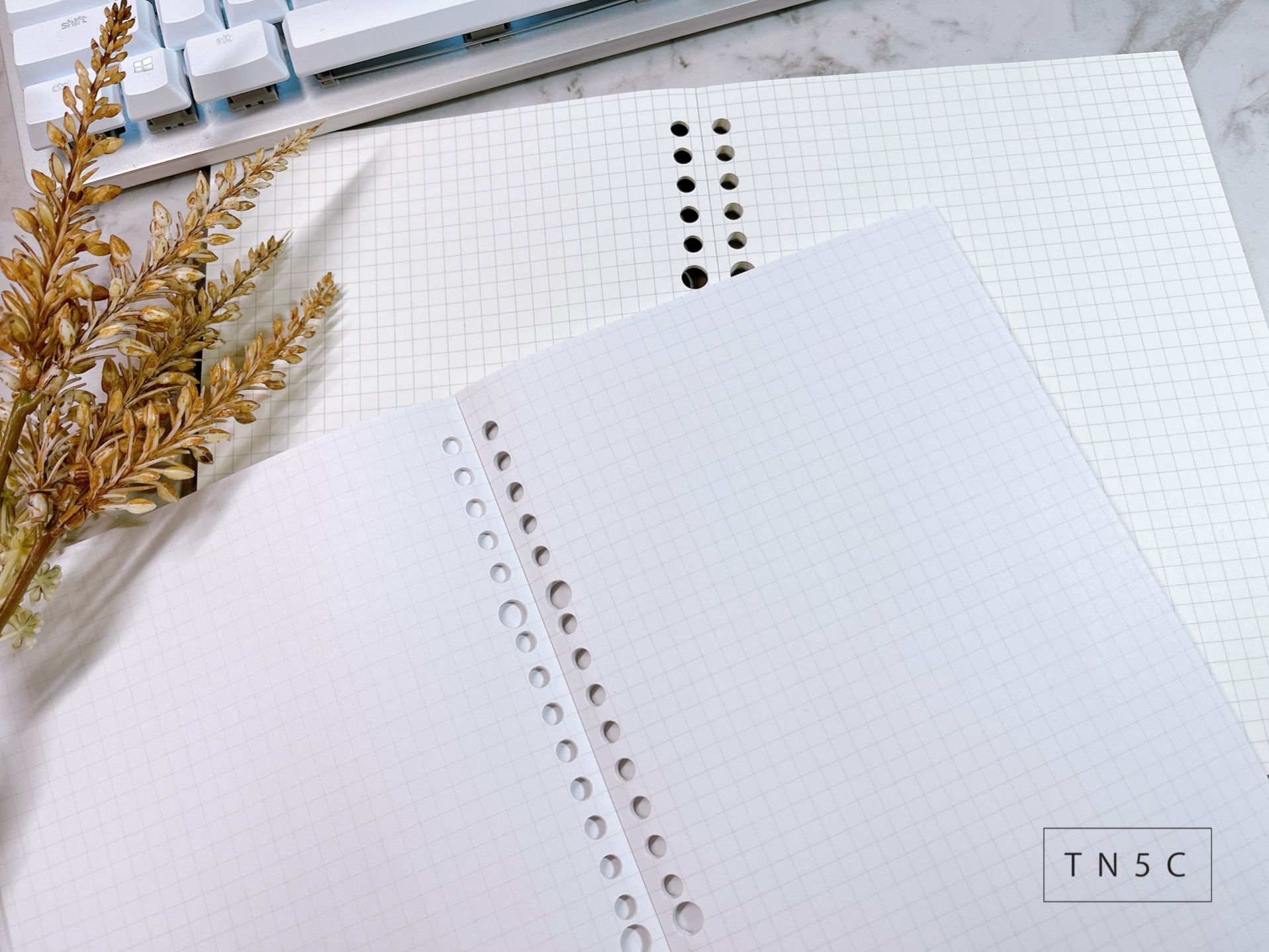 DAISO Grid loose leaf pad VS MUJI Notebook type Loose Leaf ~ The Number ...