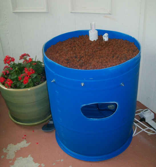 Alternative methods for growing tomato | Garden Park