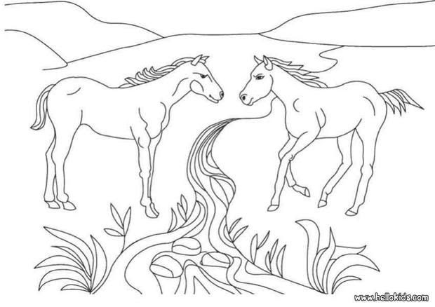 Coloring Pages Of Horses 2 ~ Coloring Pages