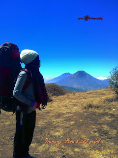 Fisio'Traveller: si Cantik bunga Daisy Gunung Prau Dieng