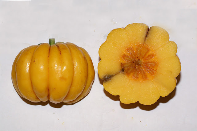 Info Perbedaan Buah Asam Gelugur, jawa, kandis dan Manfaat Asam Geluger ...