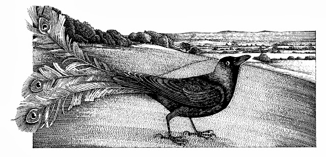 John Vernon Lord: November 2013