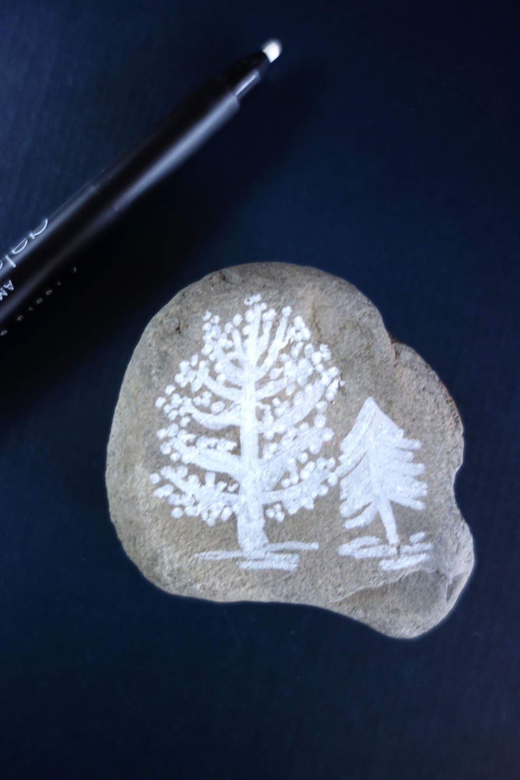 blah to TADA!: Forest Bathing Through the Seasons